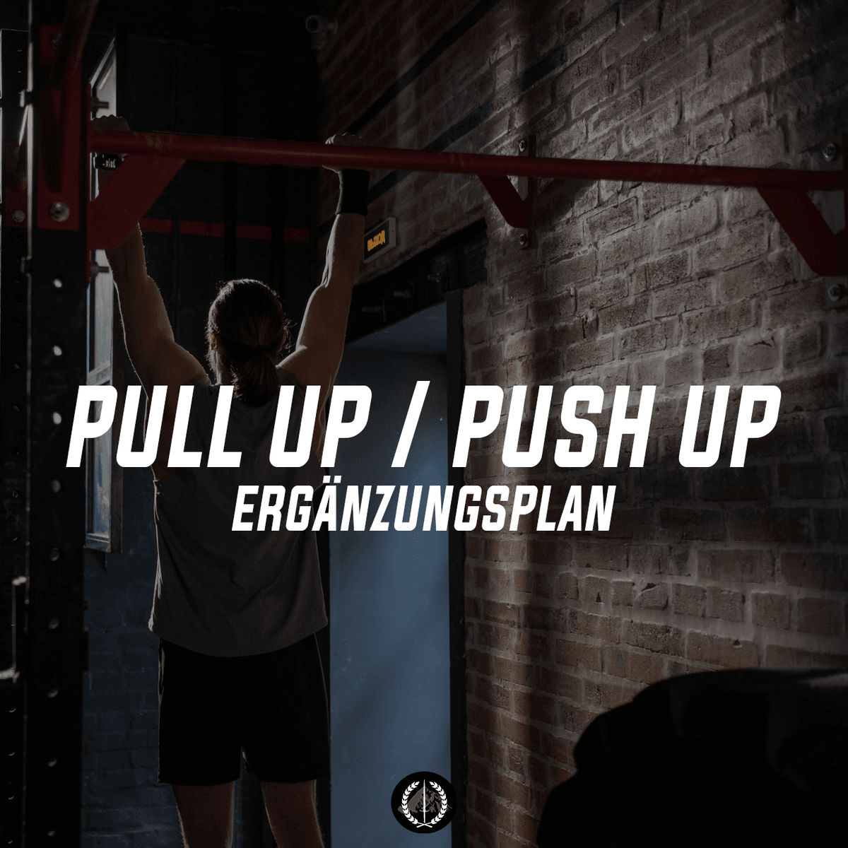 Trainingsplan Klimmzüge / Liegestütze | PPF Germany Shop